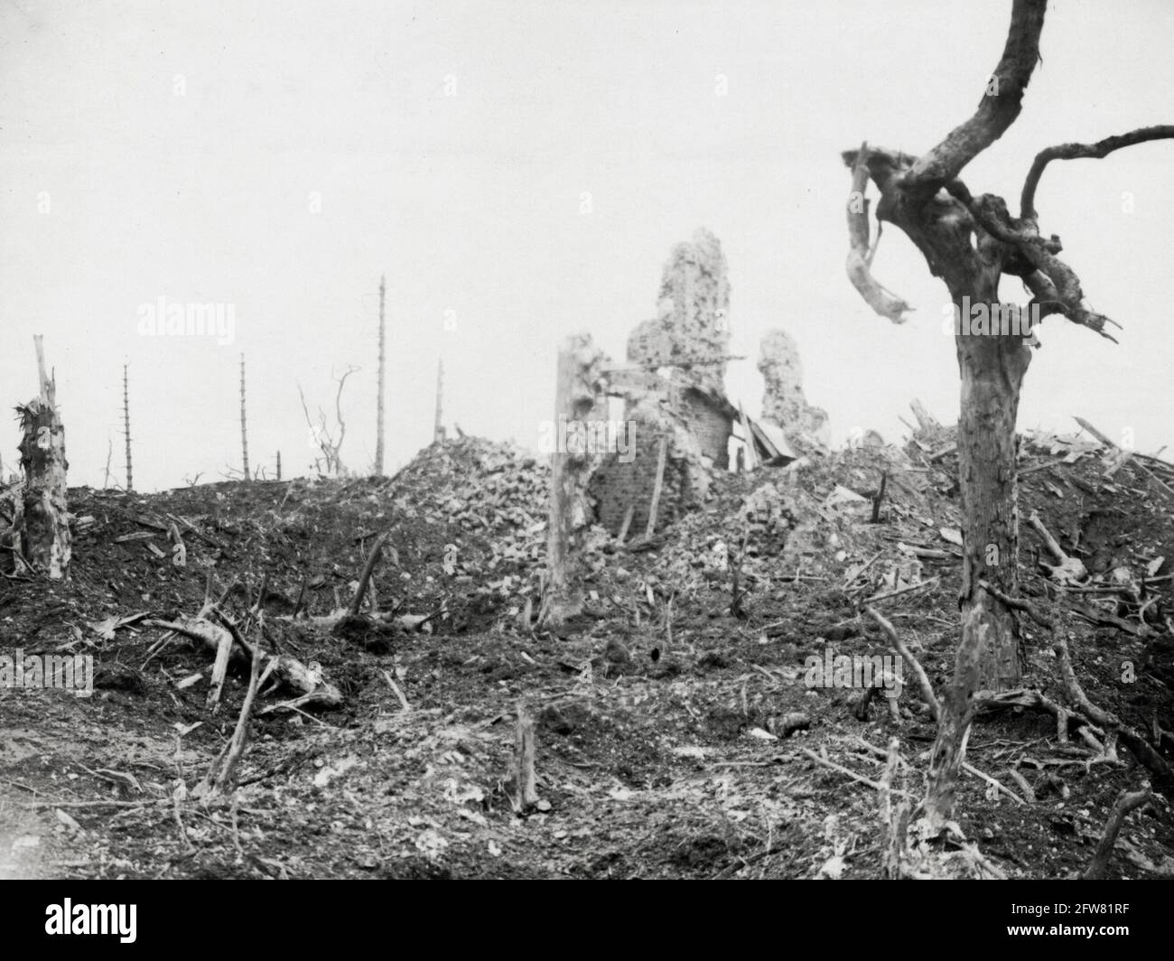 World War One, WWI, Western Front - Scene of a shell-shattered ...