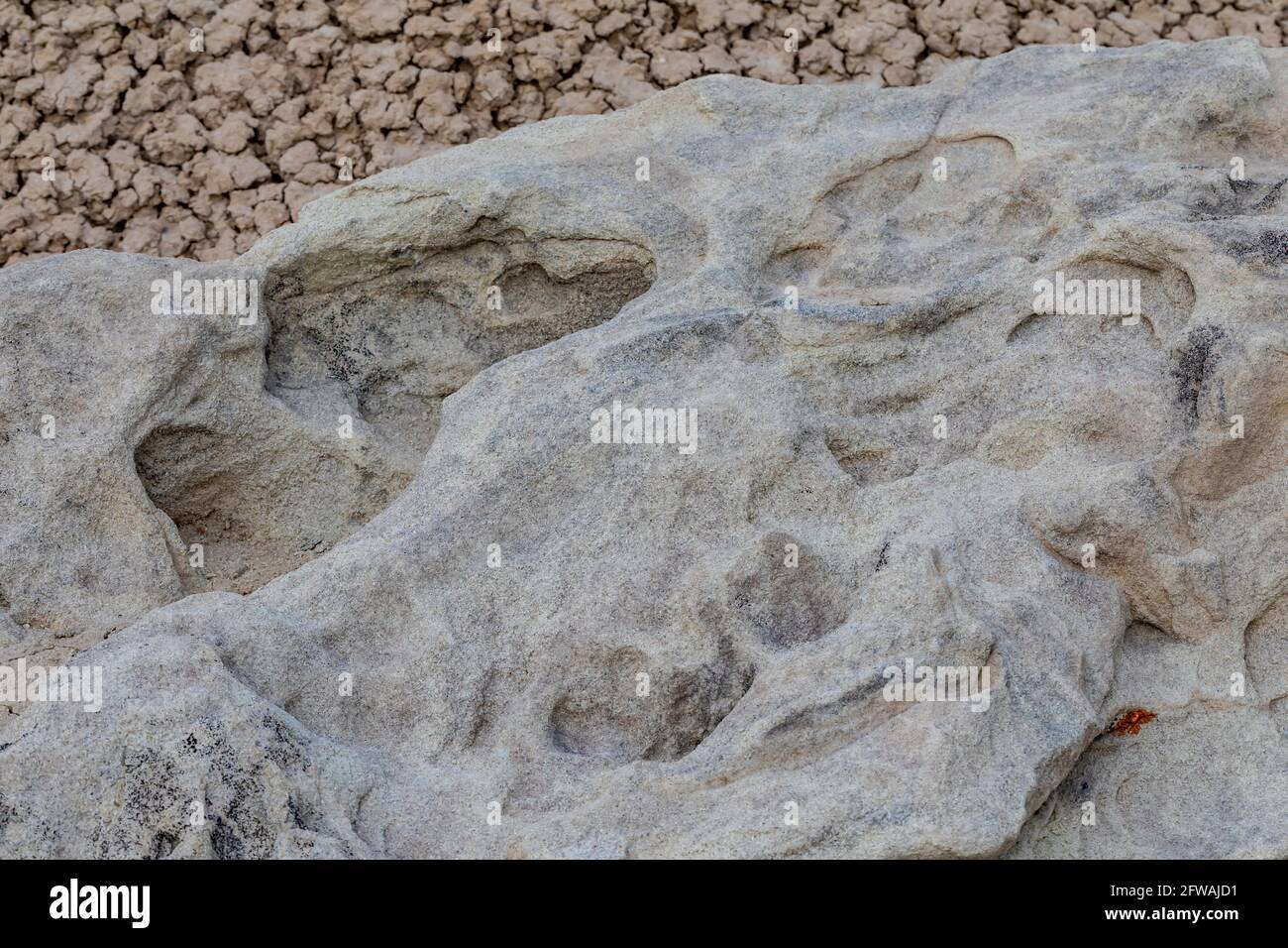 Ancient mammal trackways in sandstone at Toadstool Geologic Park ...