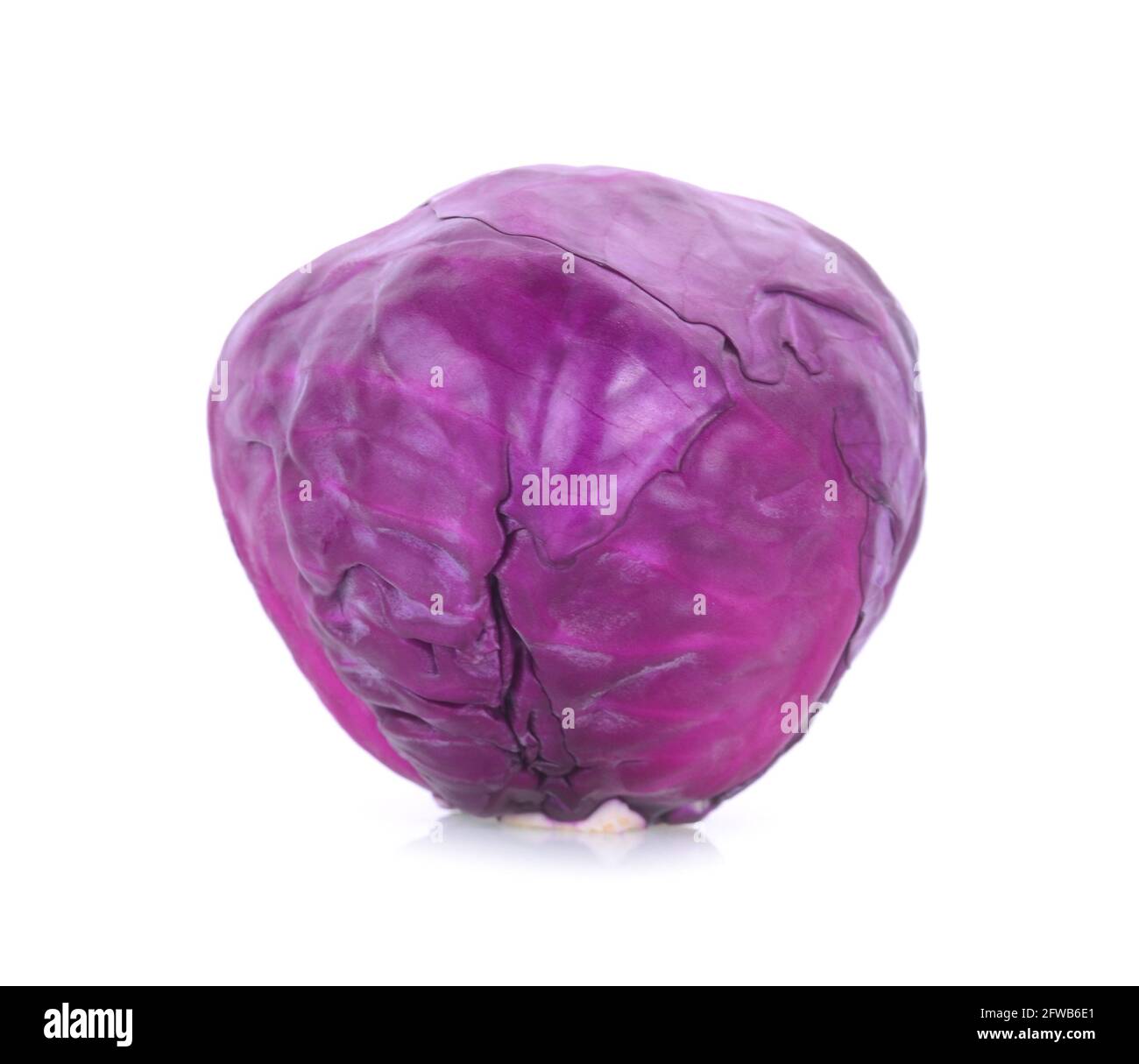 Purple cabbage isolated on white background Stock Photo - Alamy