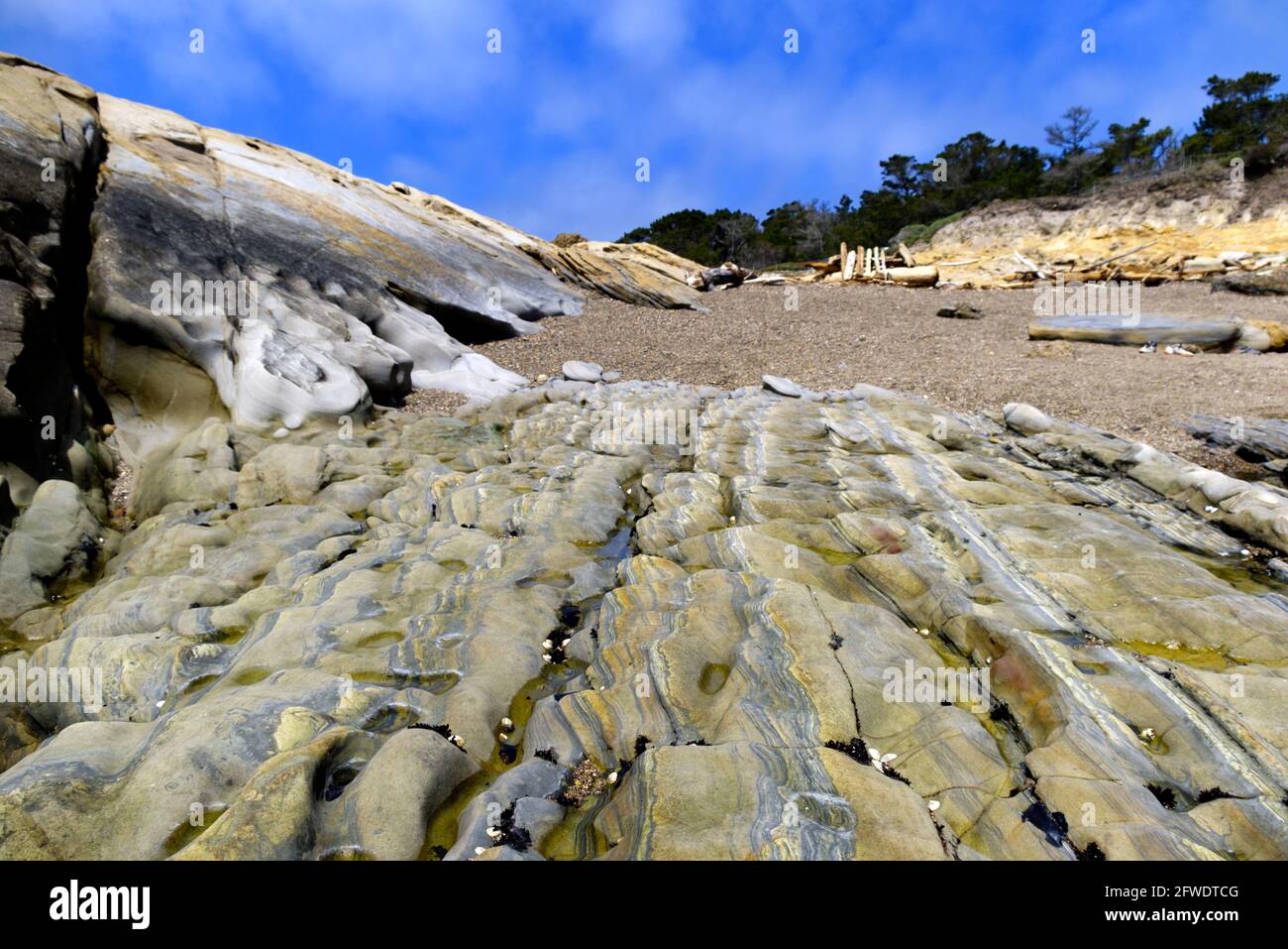 Point Lobos - Groovy rocks on rocky beach Stock Photo - Alamy