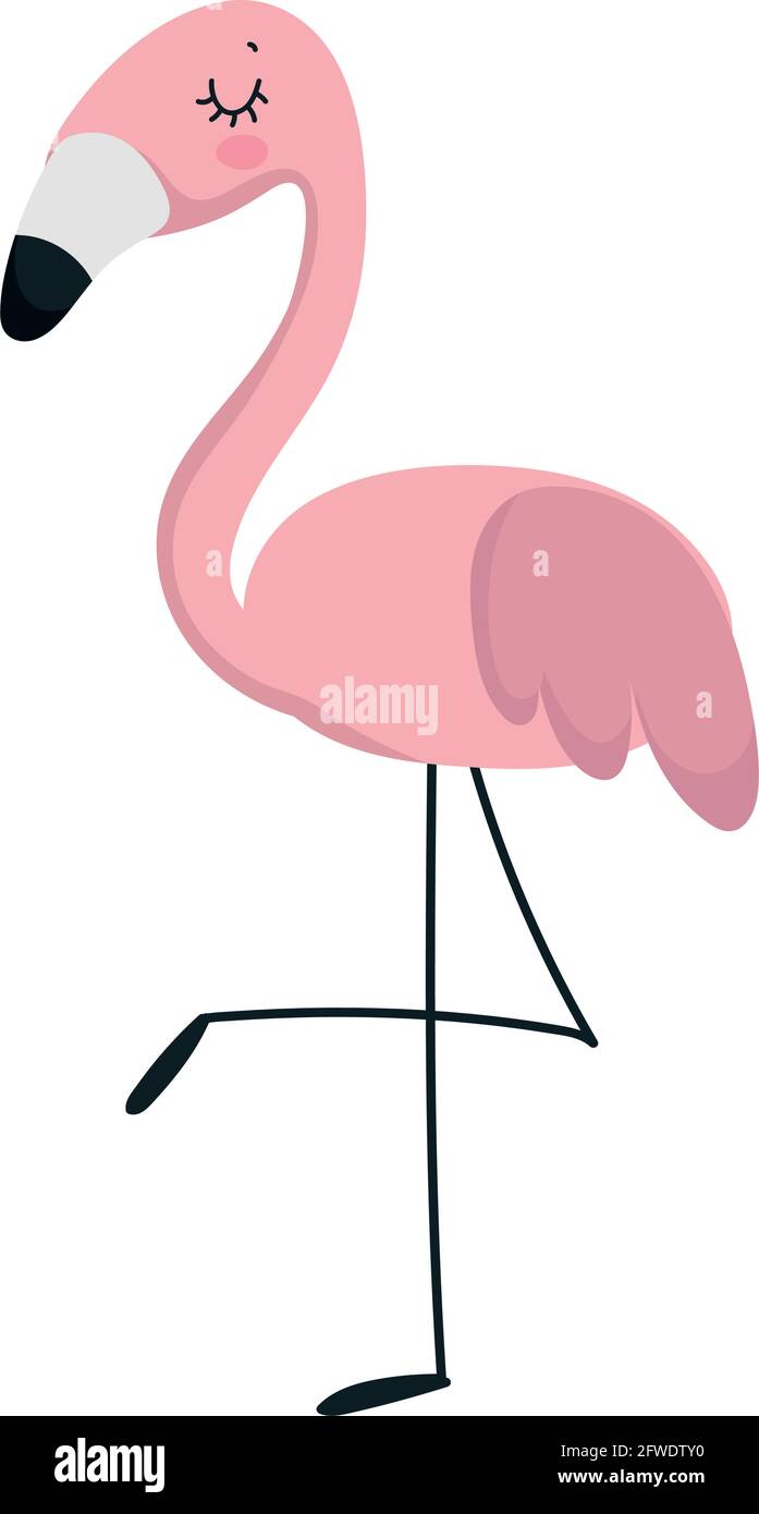 flamingo animal cartoon Stock Vector Image & Art - Alamy