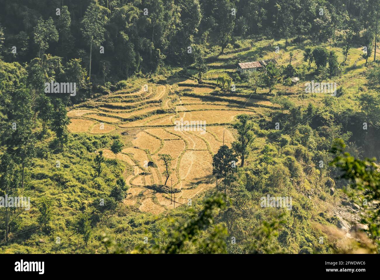Aerial view of Bhutan - agricultural land , surrounded by dense forest ...