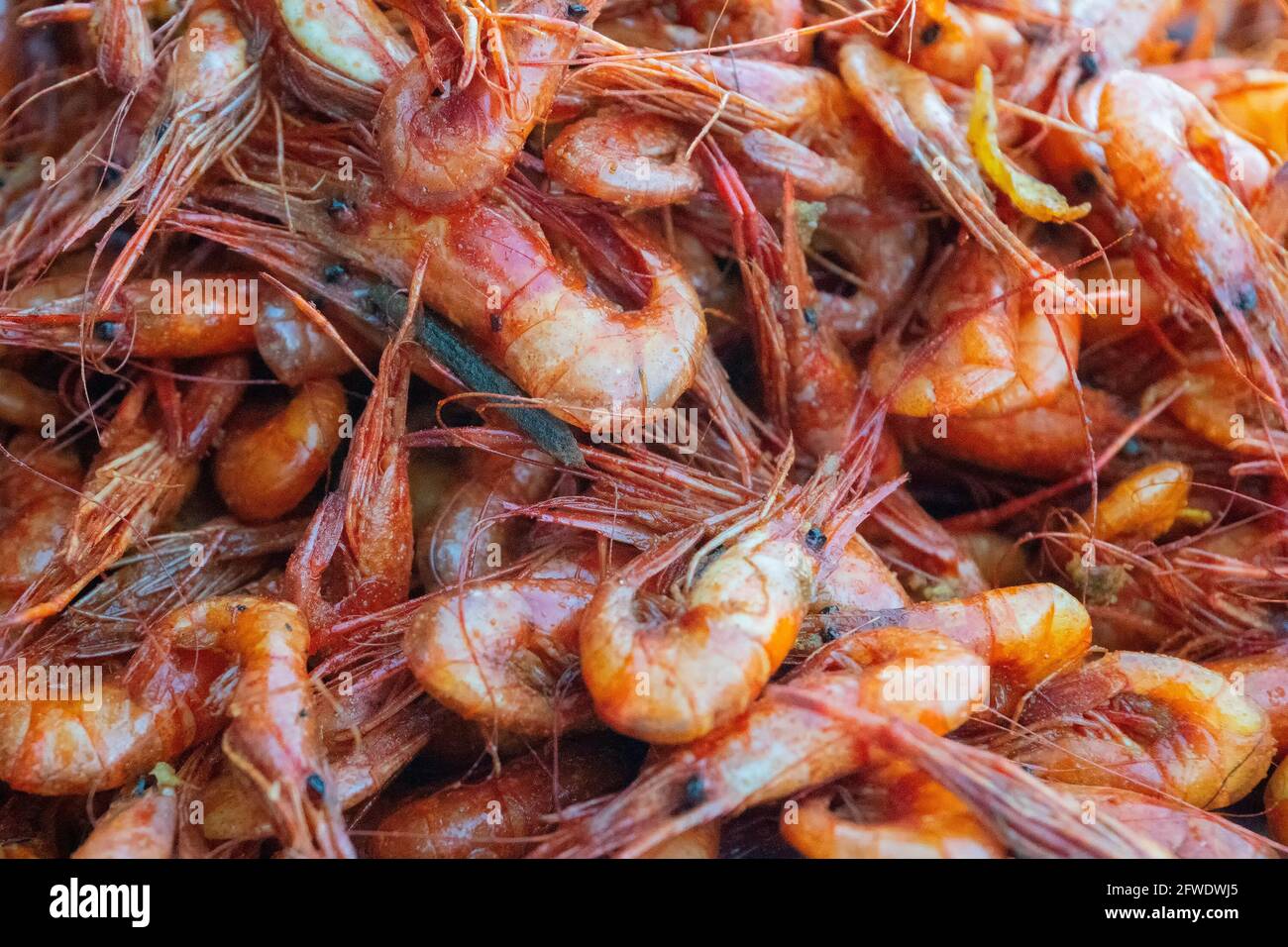 Top view of prawns, a very popular sea food amongst Indians Stock Photo ...