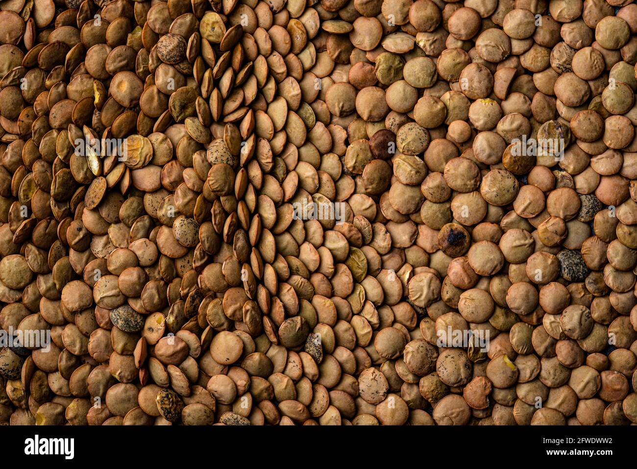 Food texture of green dry lentil Stock Photo - Alamy