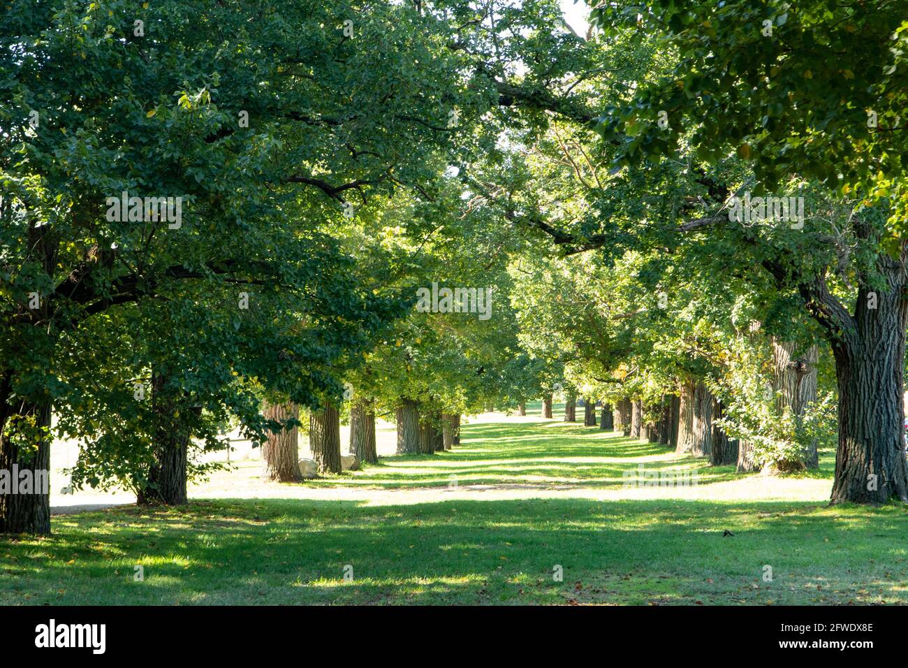 Carriage driveway hi-res stock photography and images - Alamy