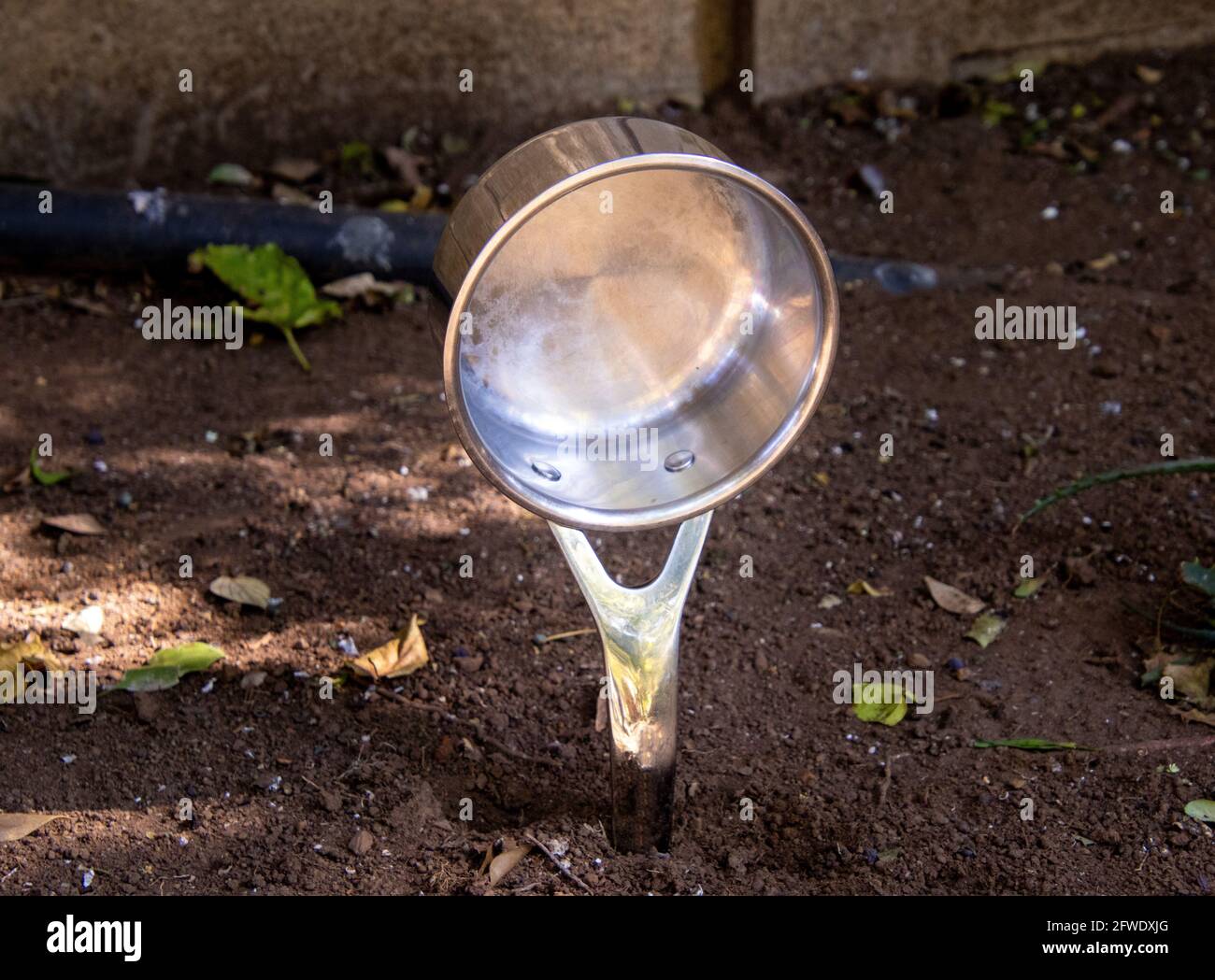 Tongue in cheek hi-res stock photography and images - Alamy