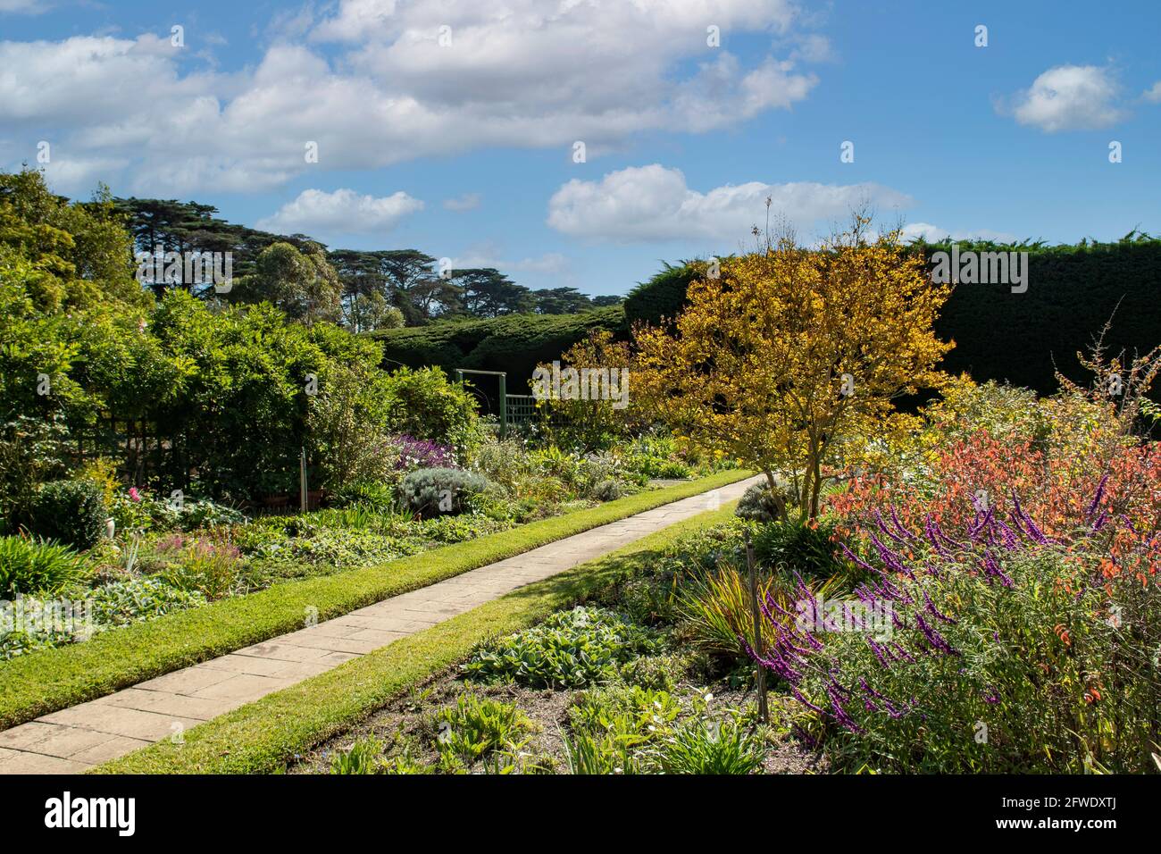 Herbaceous Flowerbed, Coombe Cottage, Coldstream, VIC, Australia Stock ...