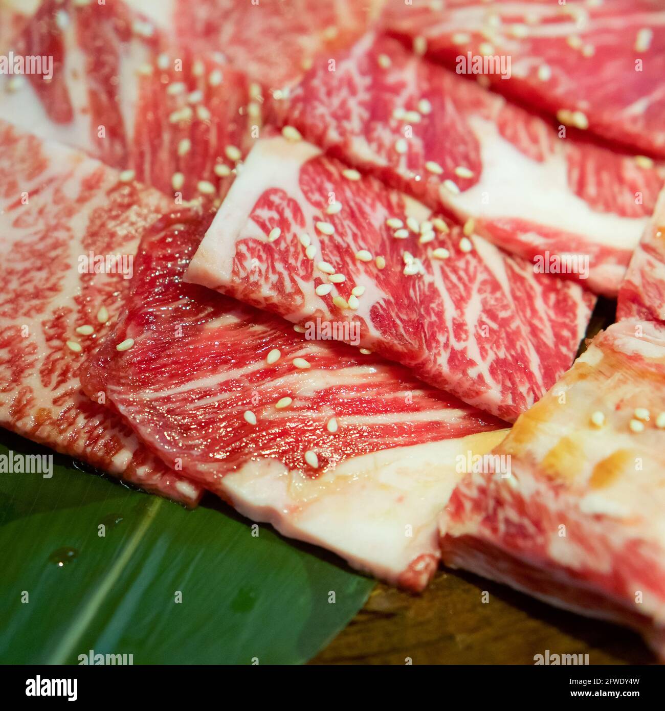Honetsuki Karubi, Rib-on-bone It is the least fat red meat Stock Photo ...