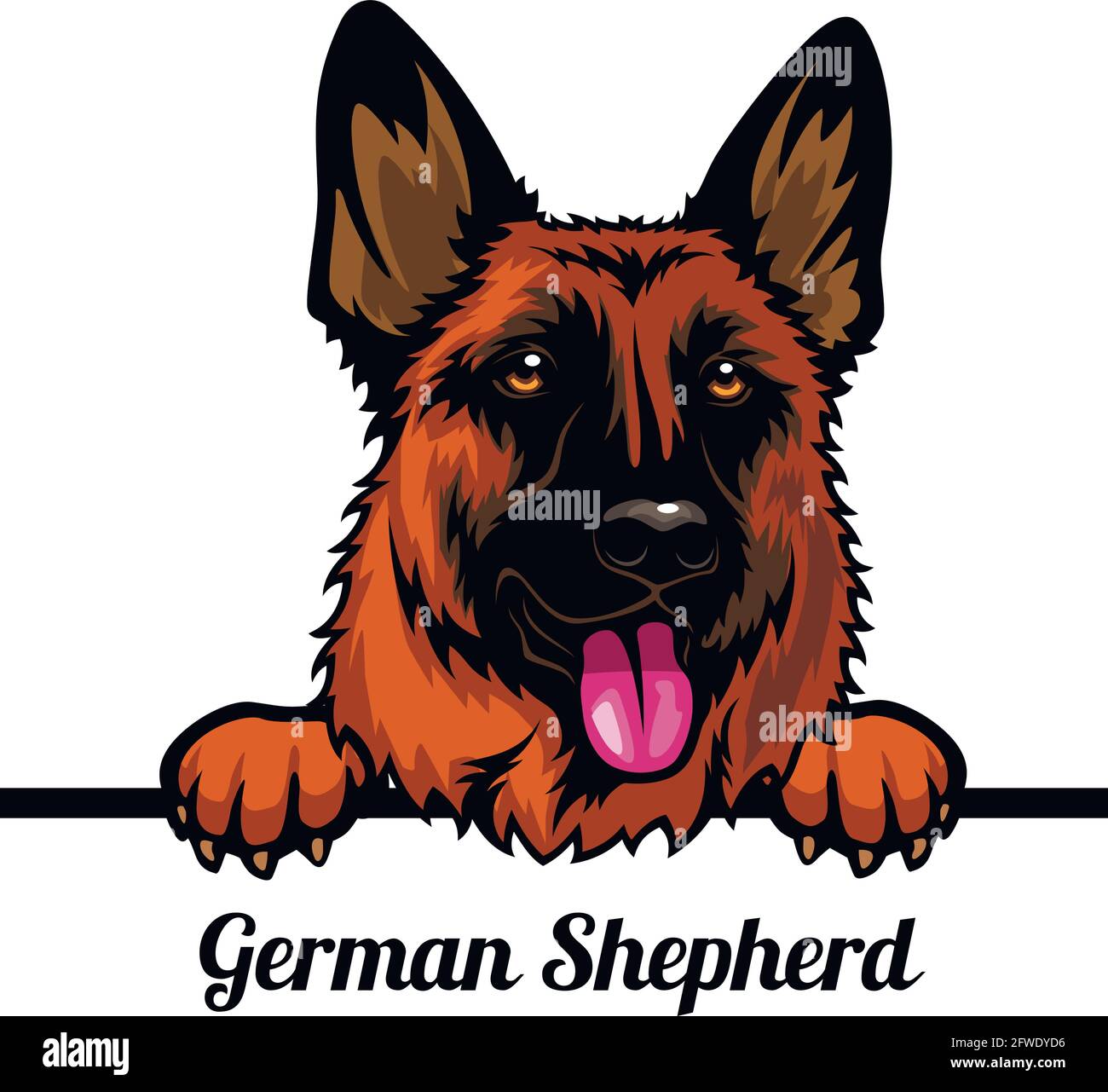 German Shepherd Dog - dog breed. Color image of a dogs head isolated on ...