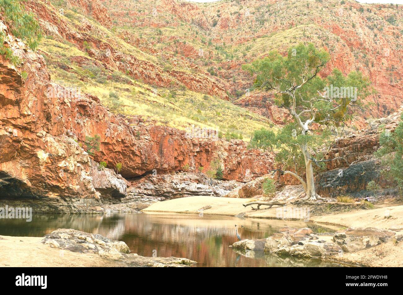 Ormiston gorge west macdonnells nt hi-res stock photography and images ...