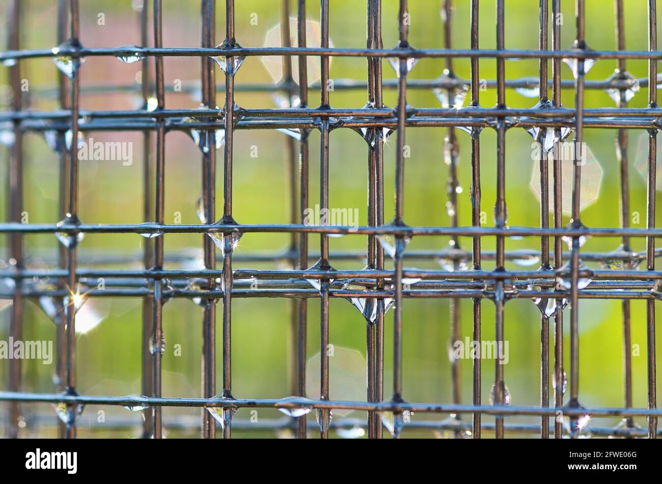 Wire mesh fence hi-res stock photography and images - Alamy