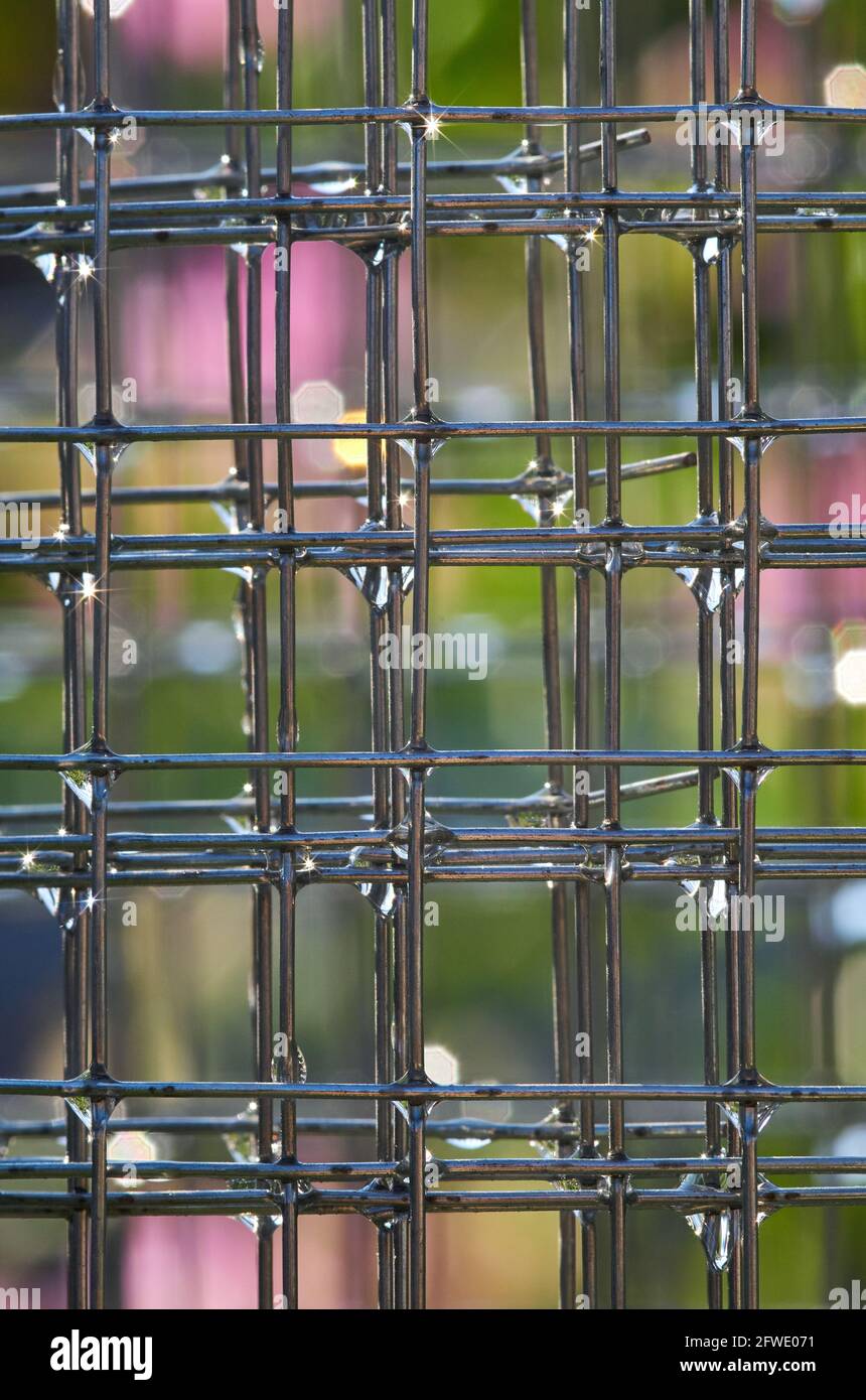 Raindrops on the wire mesh fence Stock Photo - Alamy
