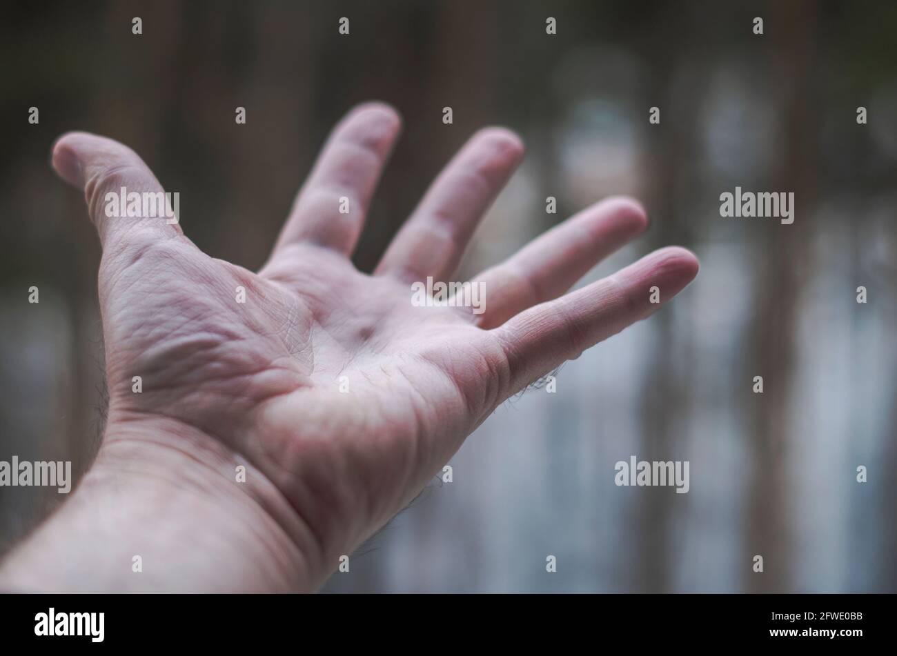 male hand open, palm up Stock Photo - Alamy