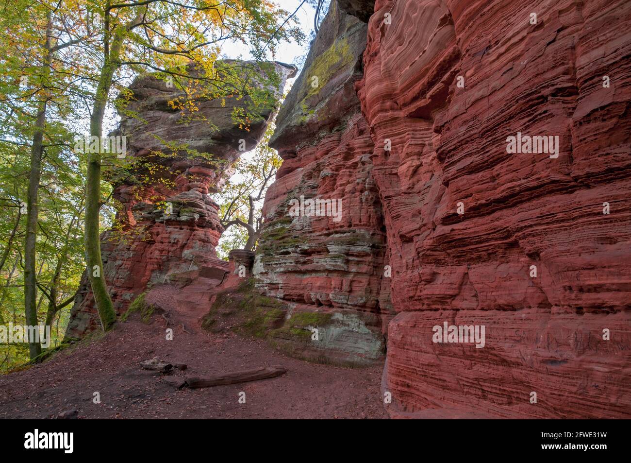 Sandstone rock formation, Altschlossfelsen, Palatinate Forest ...
