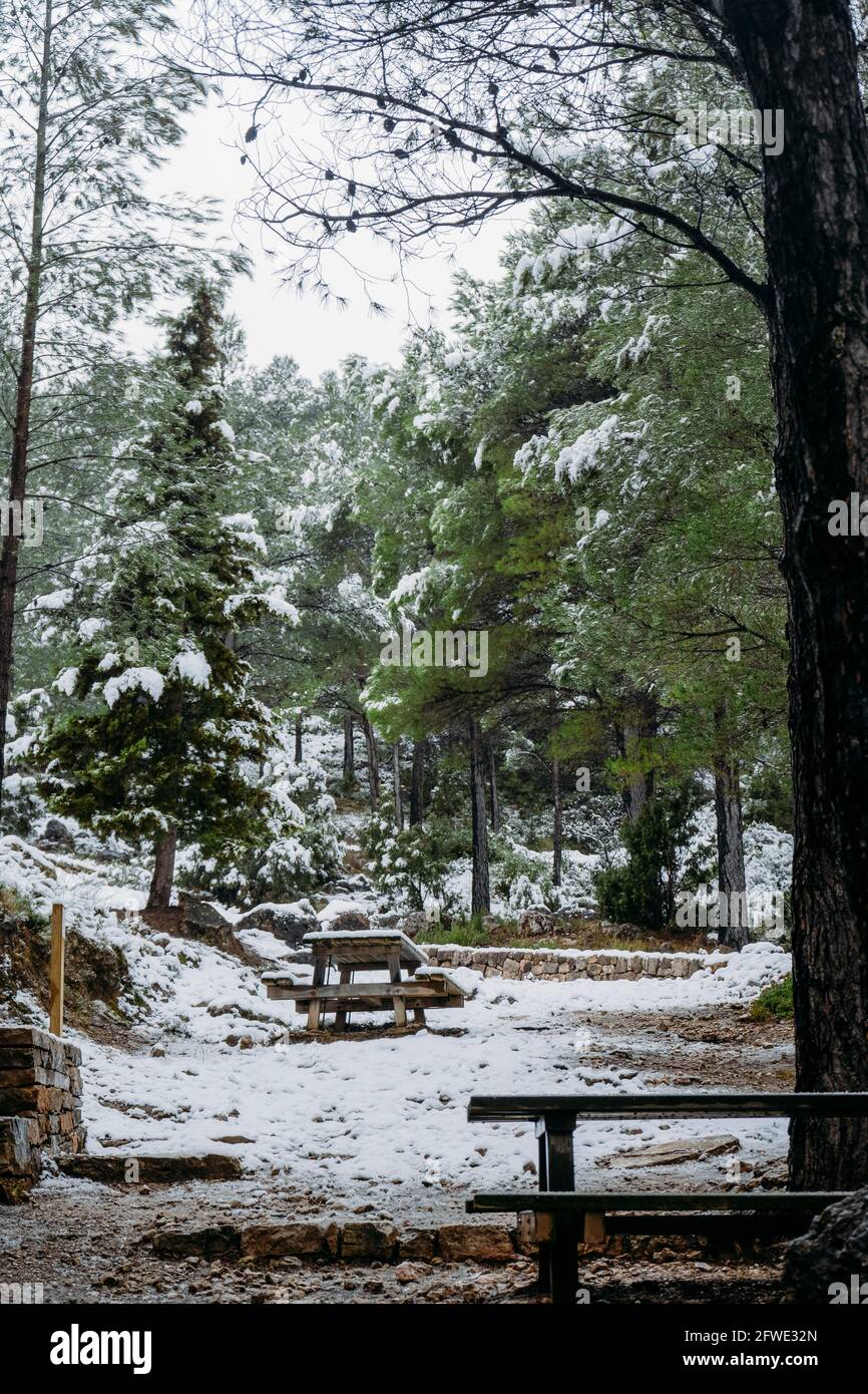 Green maroon colors hi-res stock photography and images - Alamy