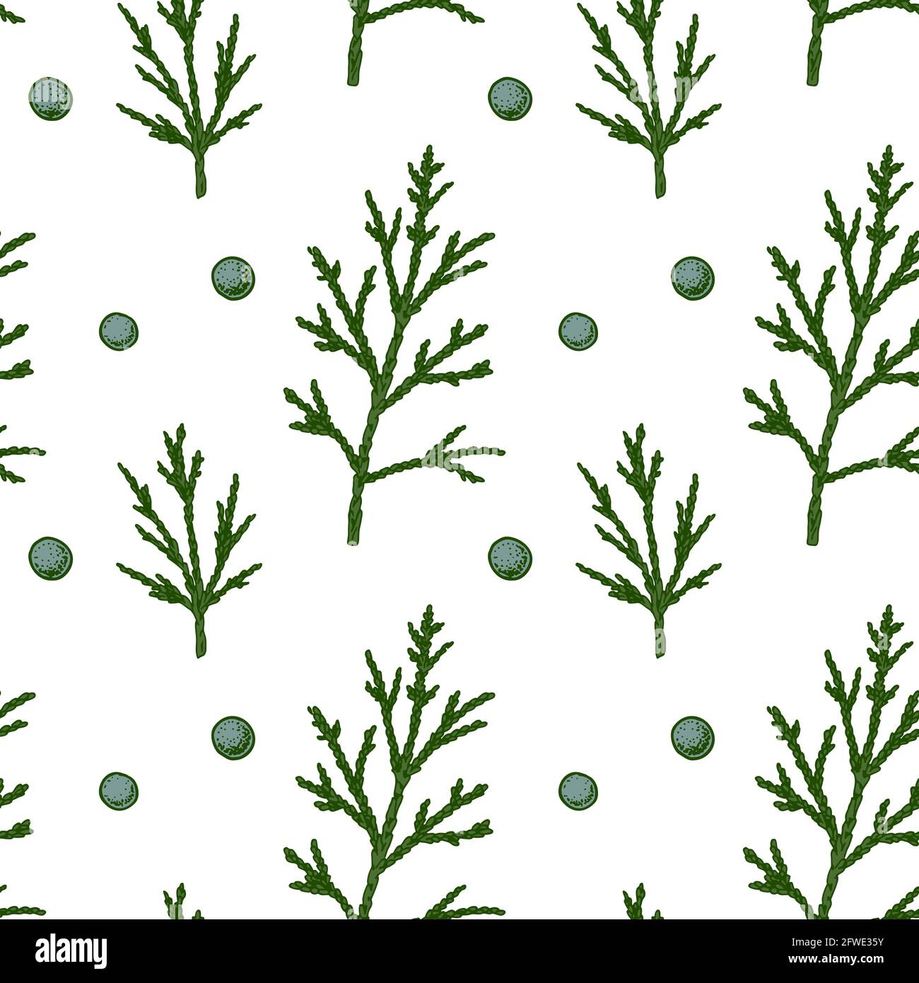 Hand drawn seamless pattern with green juniper branches with berries ...