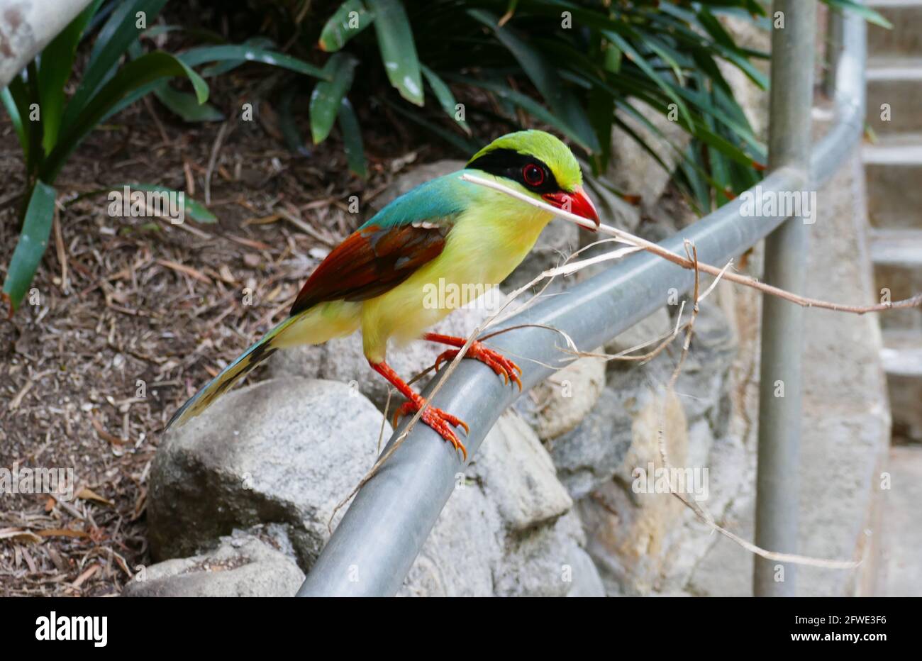 Los Angeles, California, USA 20th May 2021 A general view of atmosphere ...