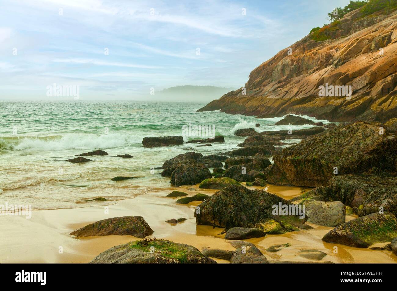 Acadia national park sand beach hi-res stock photography and images - Alamy