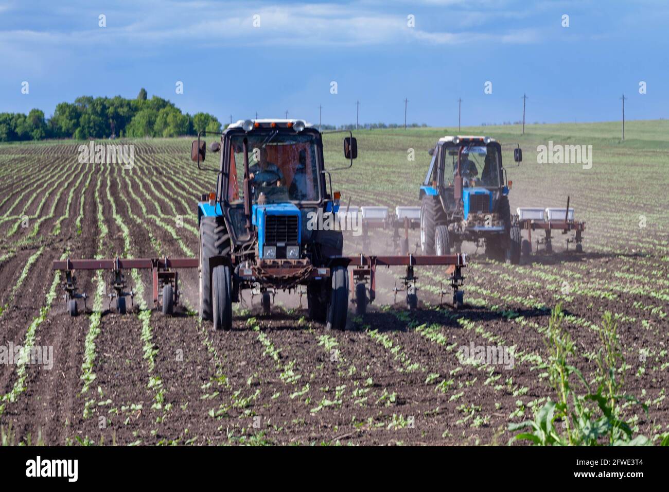 field work in agriculture. farmer's tractor harrows the field after ...