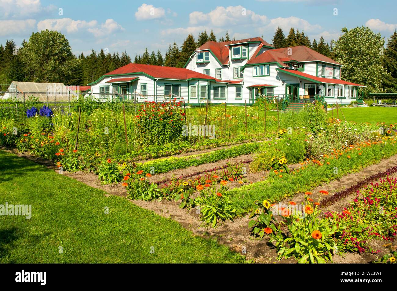 Gustavus alaska hi-res stock photography and images - Alamy