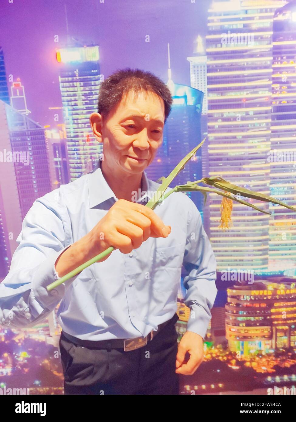 SHANGHAI, CHINA - FEBRUARY 18, 2021 - A wax figure of Yuan Longping is ...