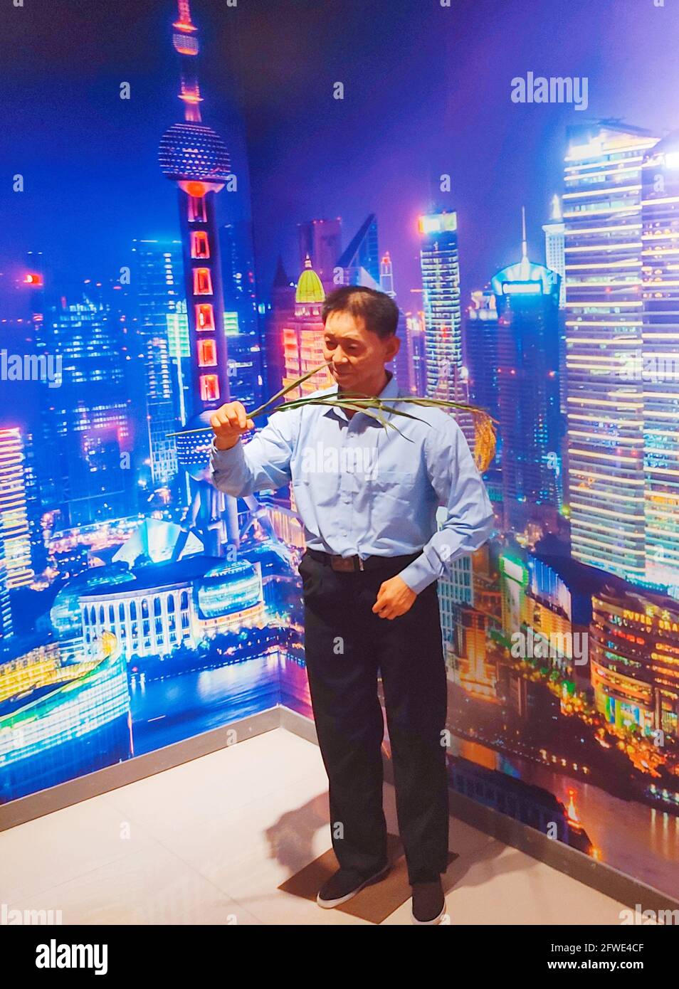 SHANGHAI, CHINA - FEBRUARY 18, 2021 - A wax figure of Yuan Longping is ...