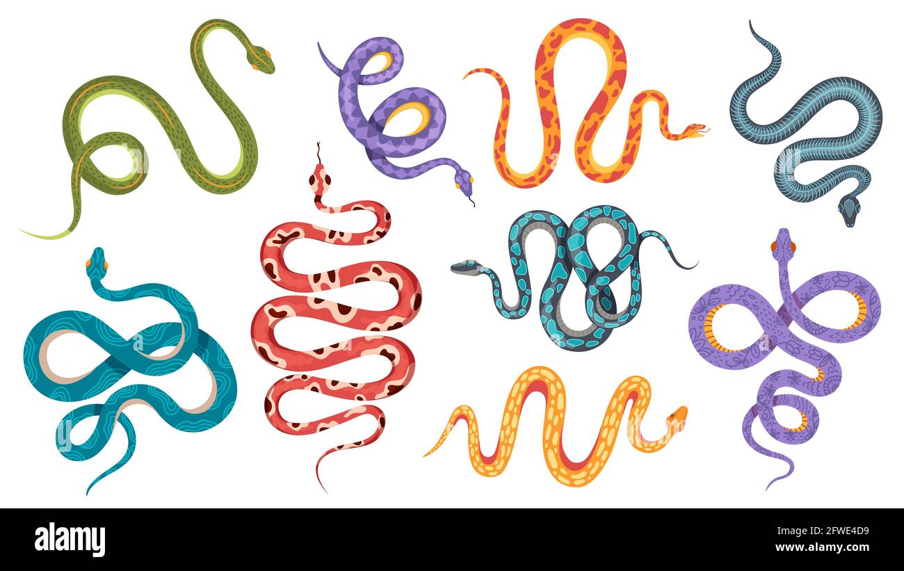 Wild snakes. Colorful coral snake tattoos with abstract and natural ...