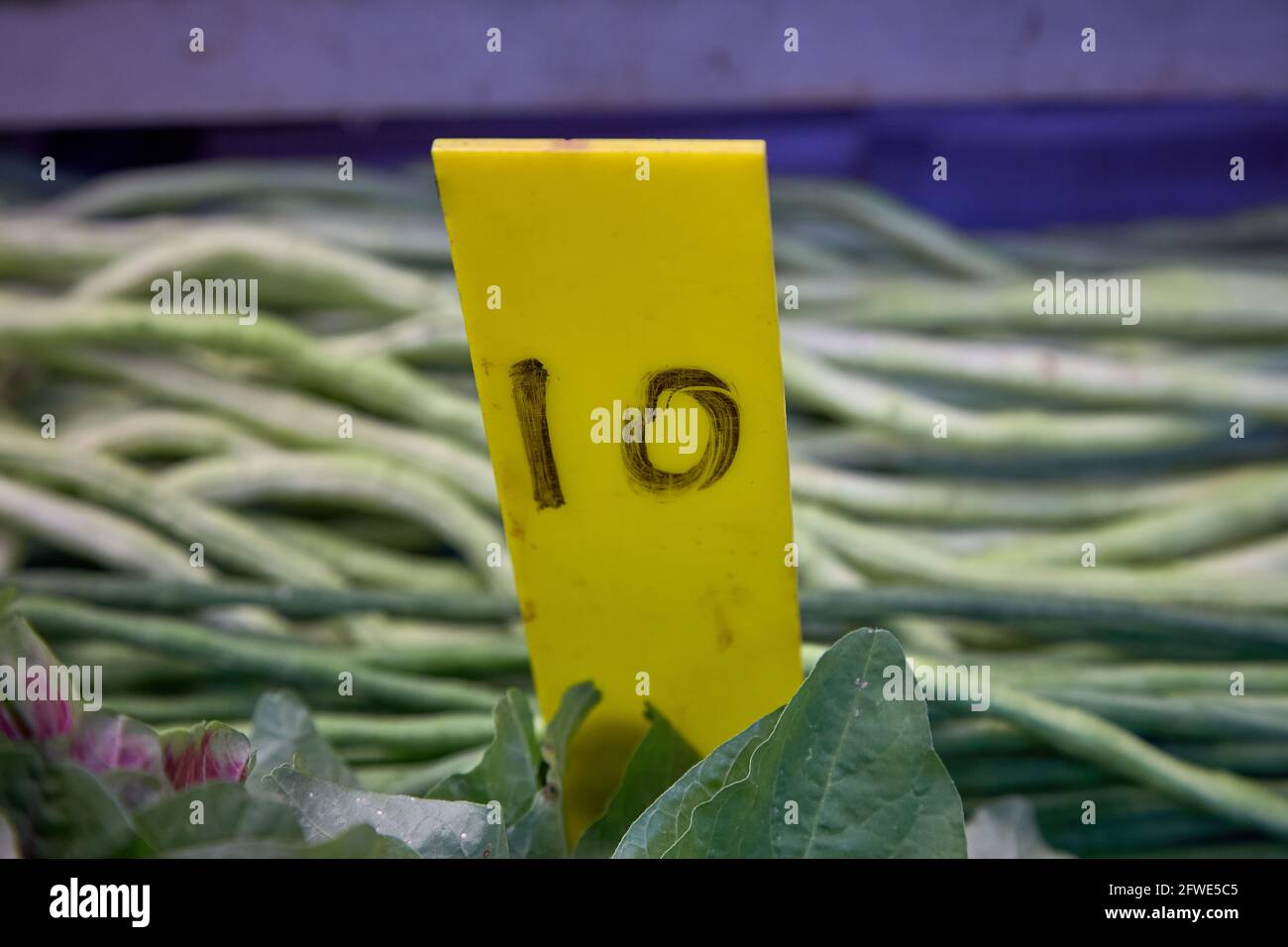 HONG KONG - SEPTEMBER 11: Photography of Tai Yuen market in Hong Kong ...