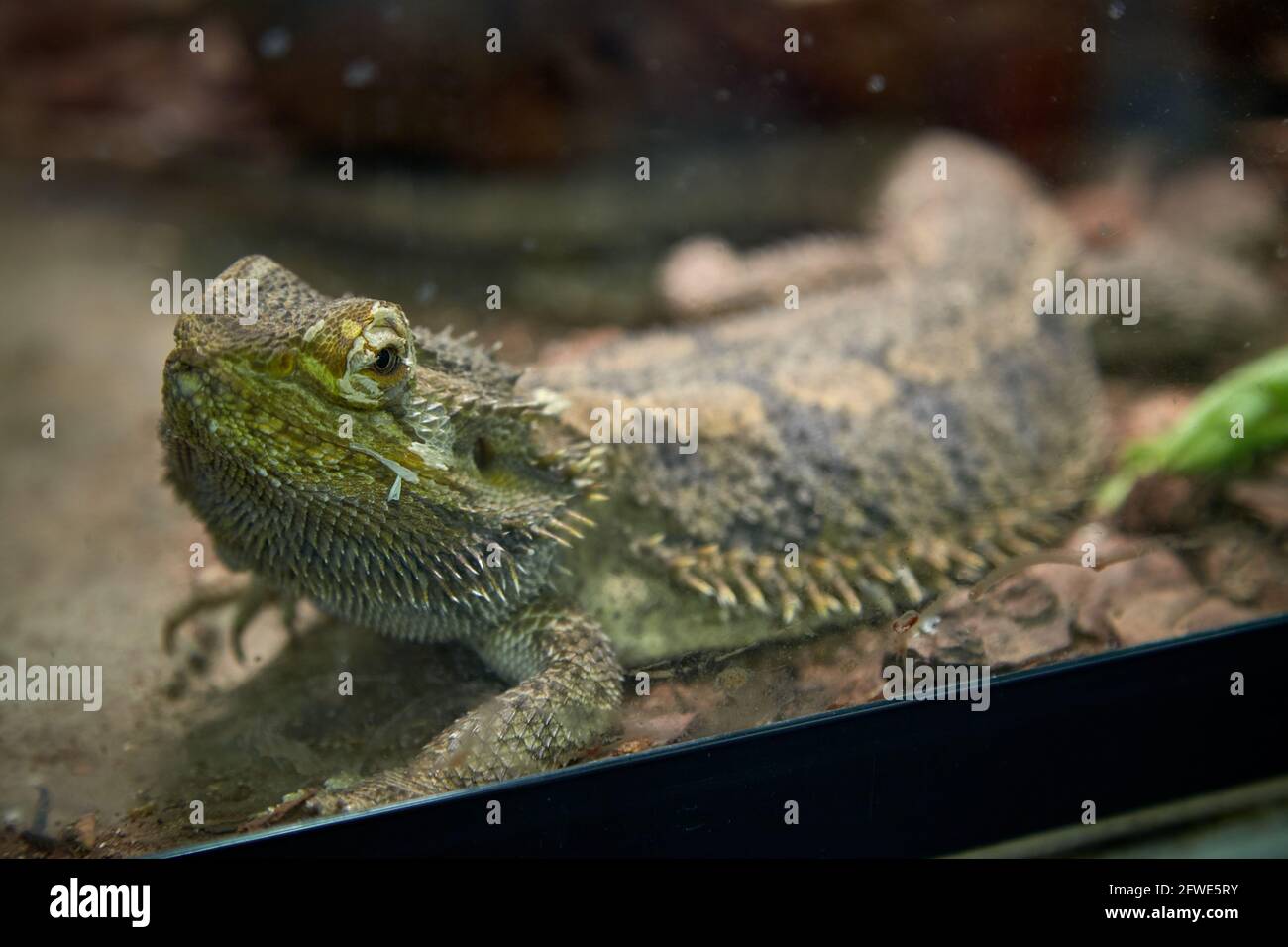 HONG KONG - OCTOBER 6: Photography of Tai Yuen market in Hong Kong on ...