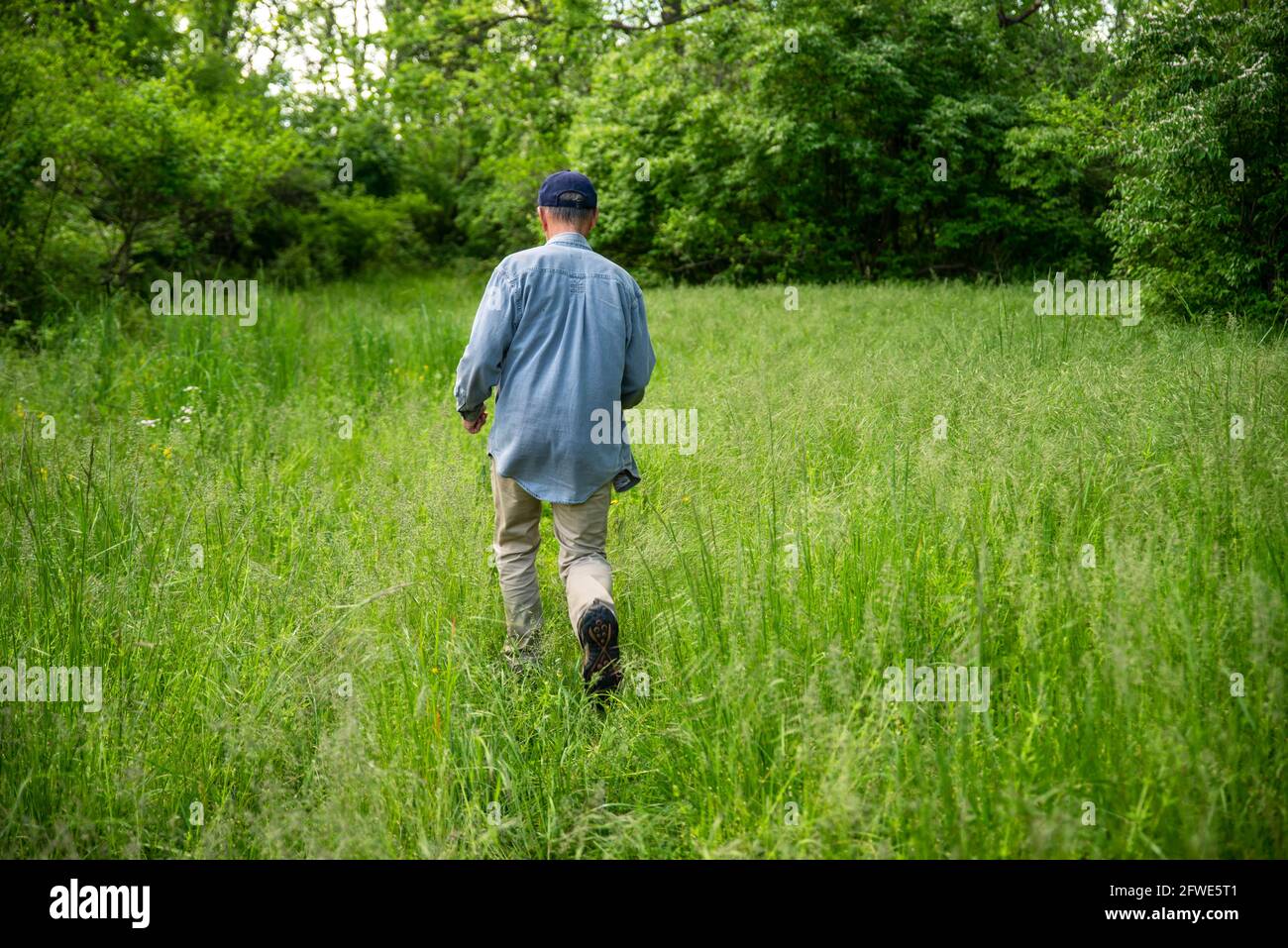 Path through tall grass field hi-res stock photography and images - Alamy