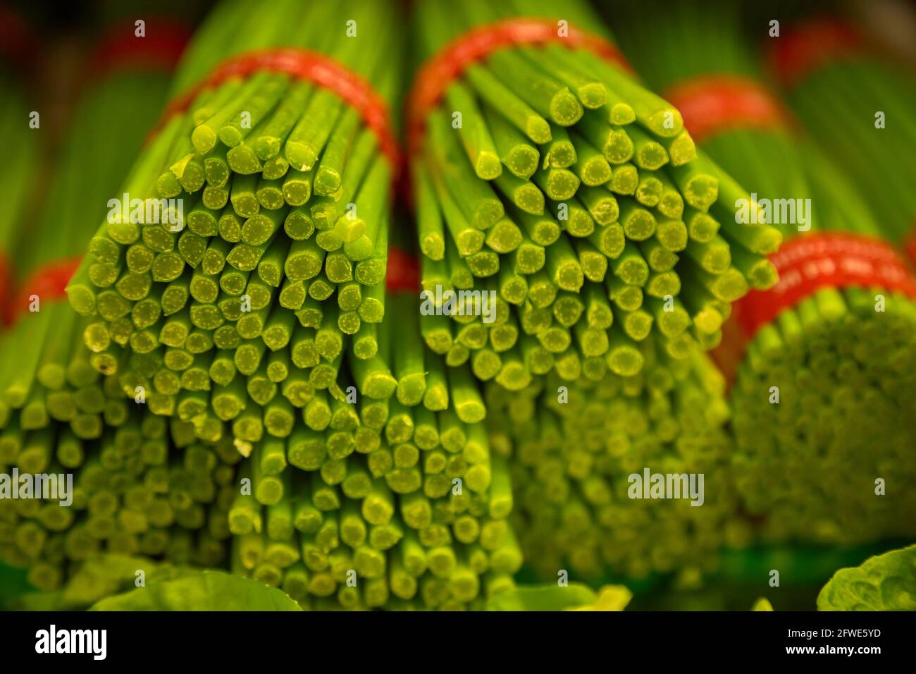 HONG KONG - OCTOBER 6: Photography of Tai Yuen market in Hong Kong on ...