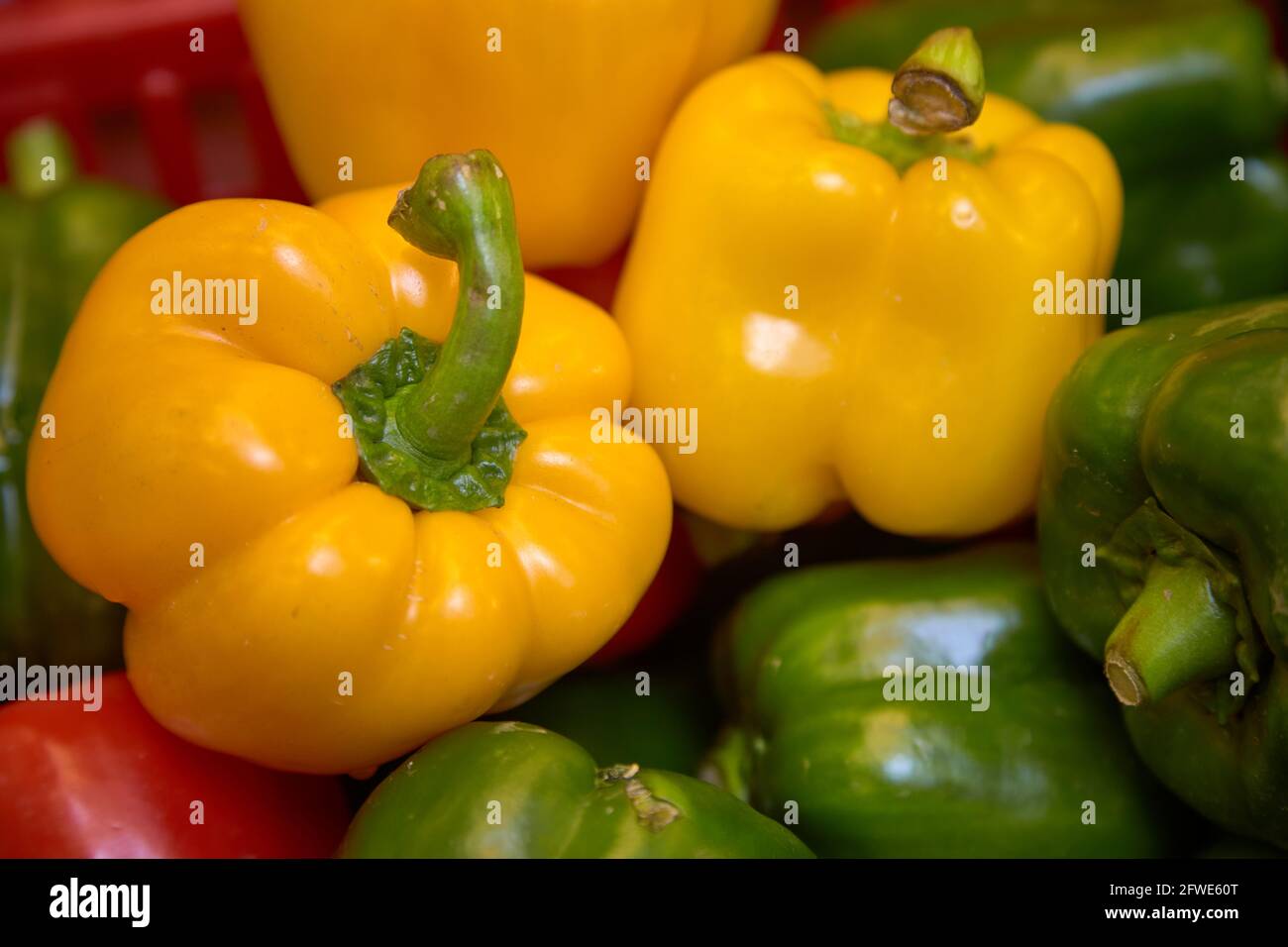 Selection bell peppers hi-res stock photography and images - Alamy