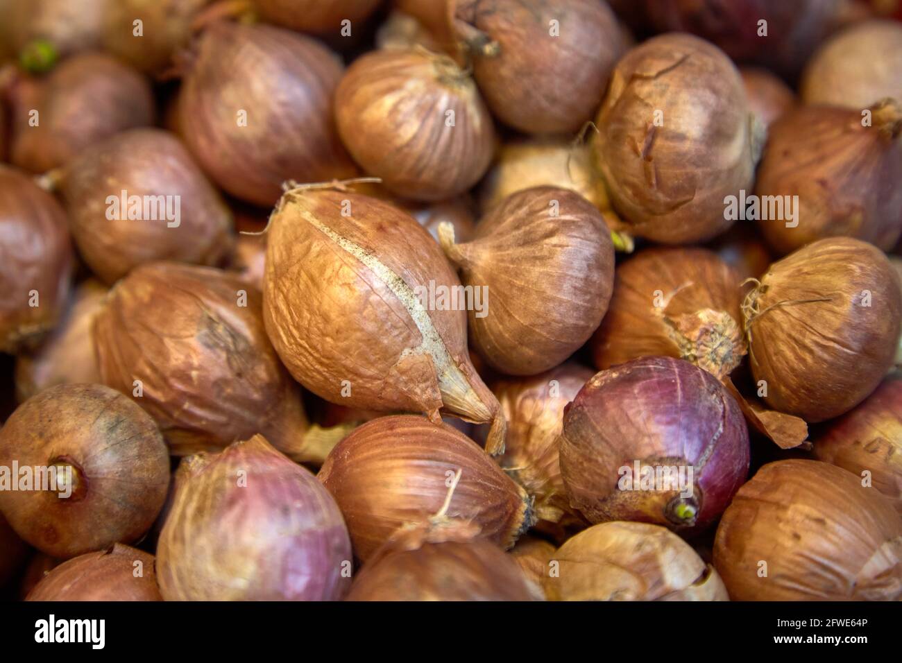 A selection of fresh shallots at a vegetable stall in Tai Yuen Market ...