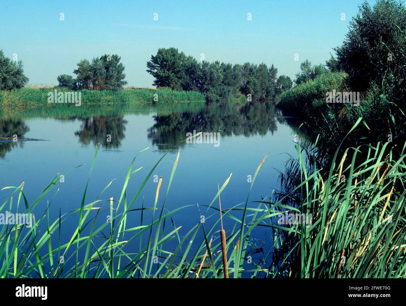RIO JARAMA. Author: BIERNA MARCOS DE. Location: EXTERIOR. ARANJUEZ ...