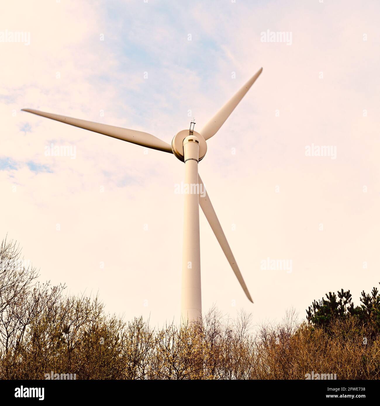 Trees and wind turbine blades hi-res stock photography and images - Alamy