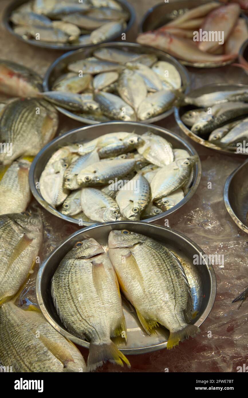 Fresh fish for sale at the Tai Yuen Market in Hong Kong Stock Photo - Alamy