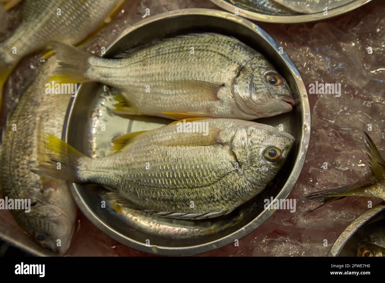Keeping fish fresh hi-res stock photography and images - Alamy