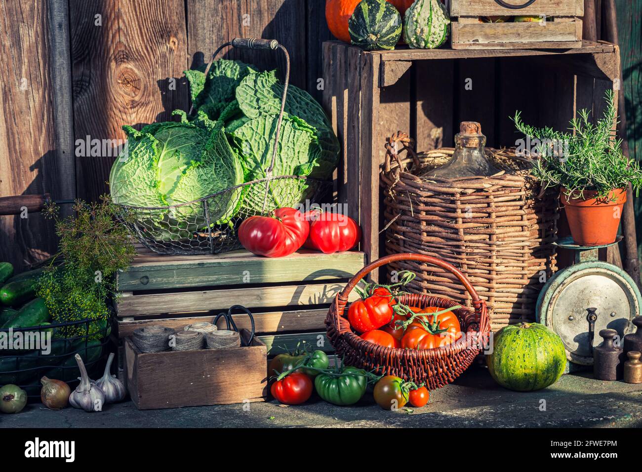 Summer harvest in the countryside. Harvest Festival in Poland Stock ...