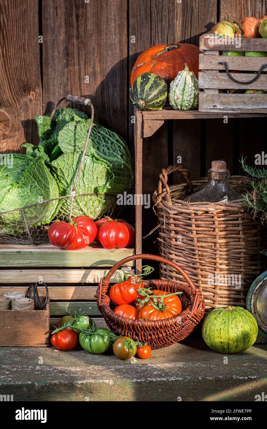 Supplies for winter. Summer harvest in the countryside. Harvest ...