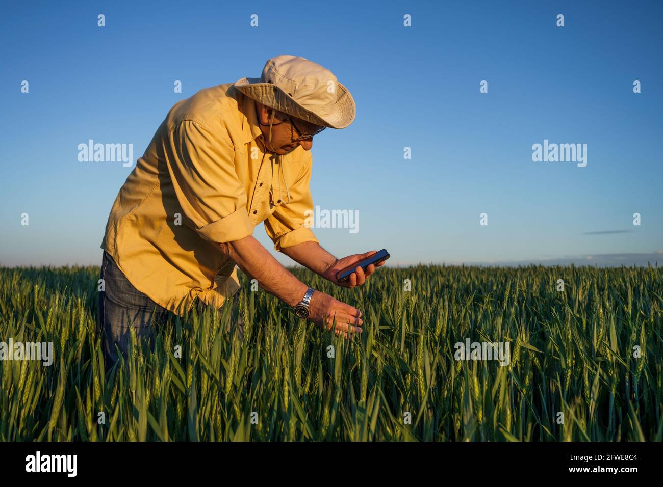 Sowing barley and wheat hi-res stock photography and images - Alamy