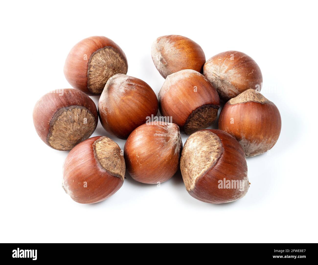 Pile unshelled hazelnuts isolated hi-res stock photography and images ...