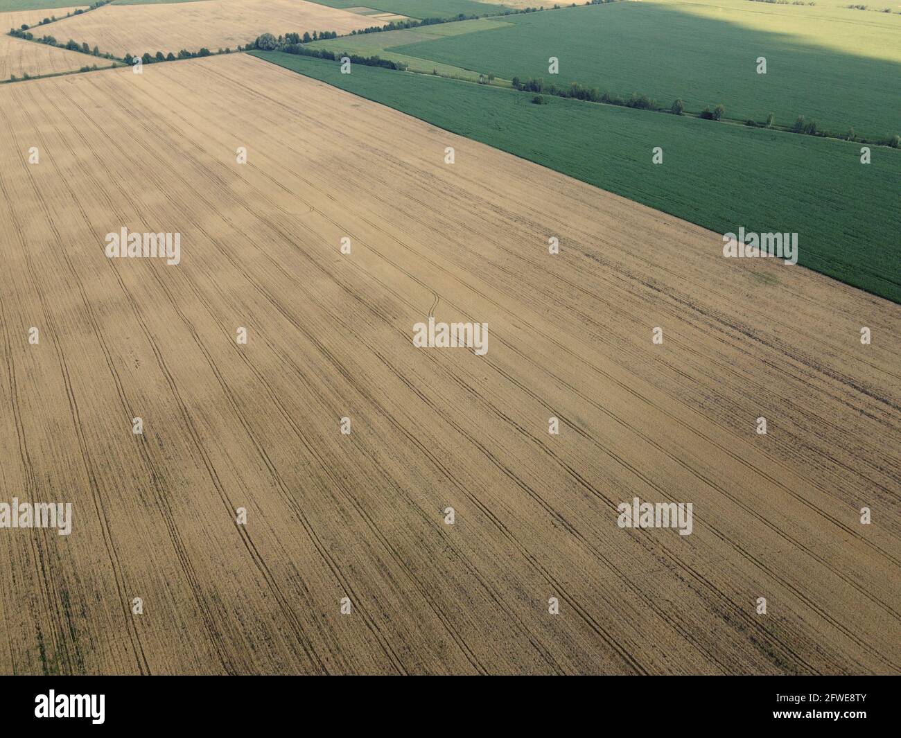 Agricultural fields, top view. Farmed fields, bird's-eye view of the ...