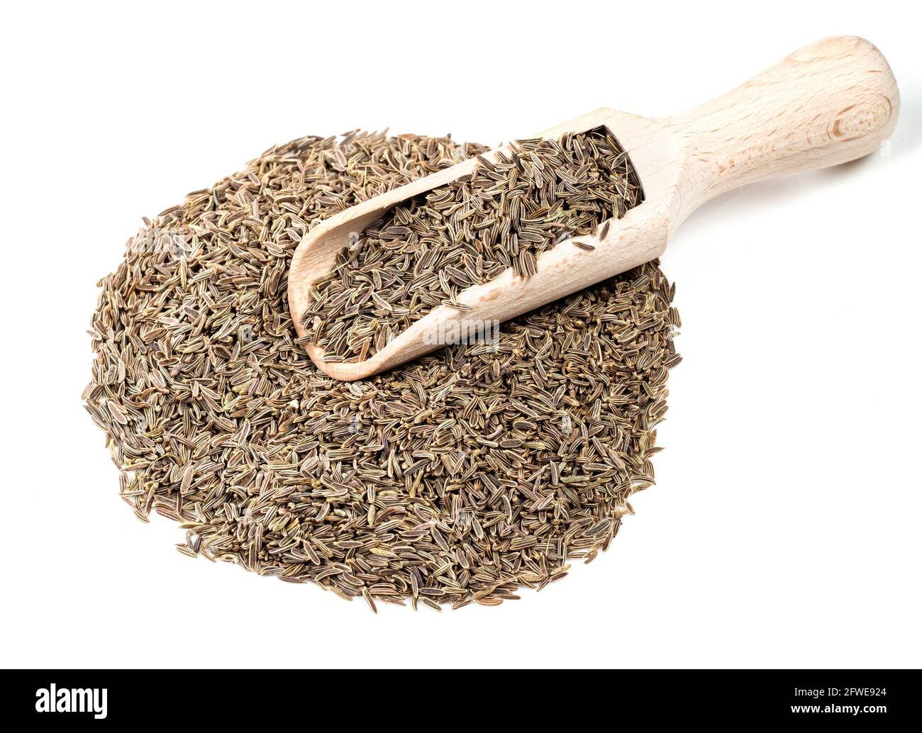 wooden scoop on pile of kala zeera seeds (elwendia persica, black cumin ...