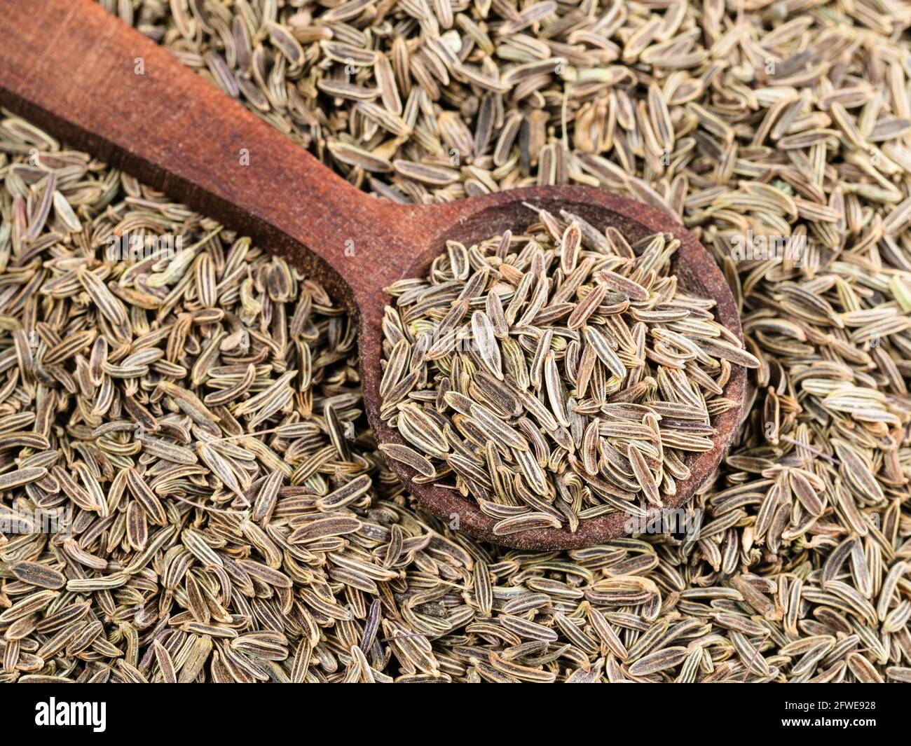wooden spoon on pile of kala zeera seeds (elwendia persica, black cumin ...