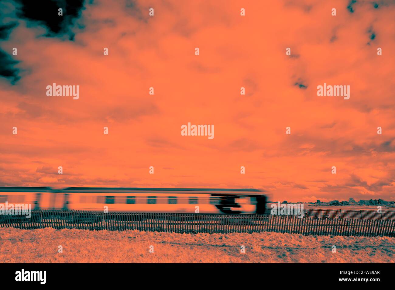 Passenger train passing through fields in rural setting Stock Photo - Alamy