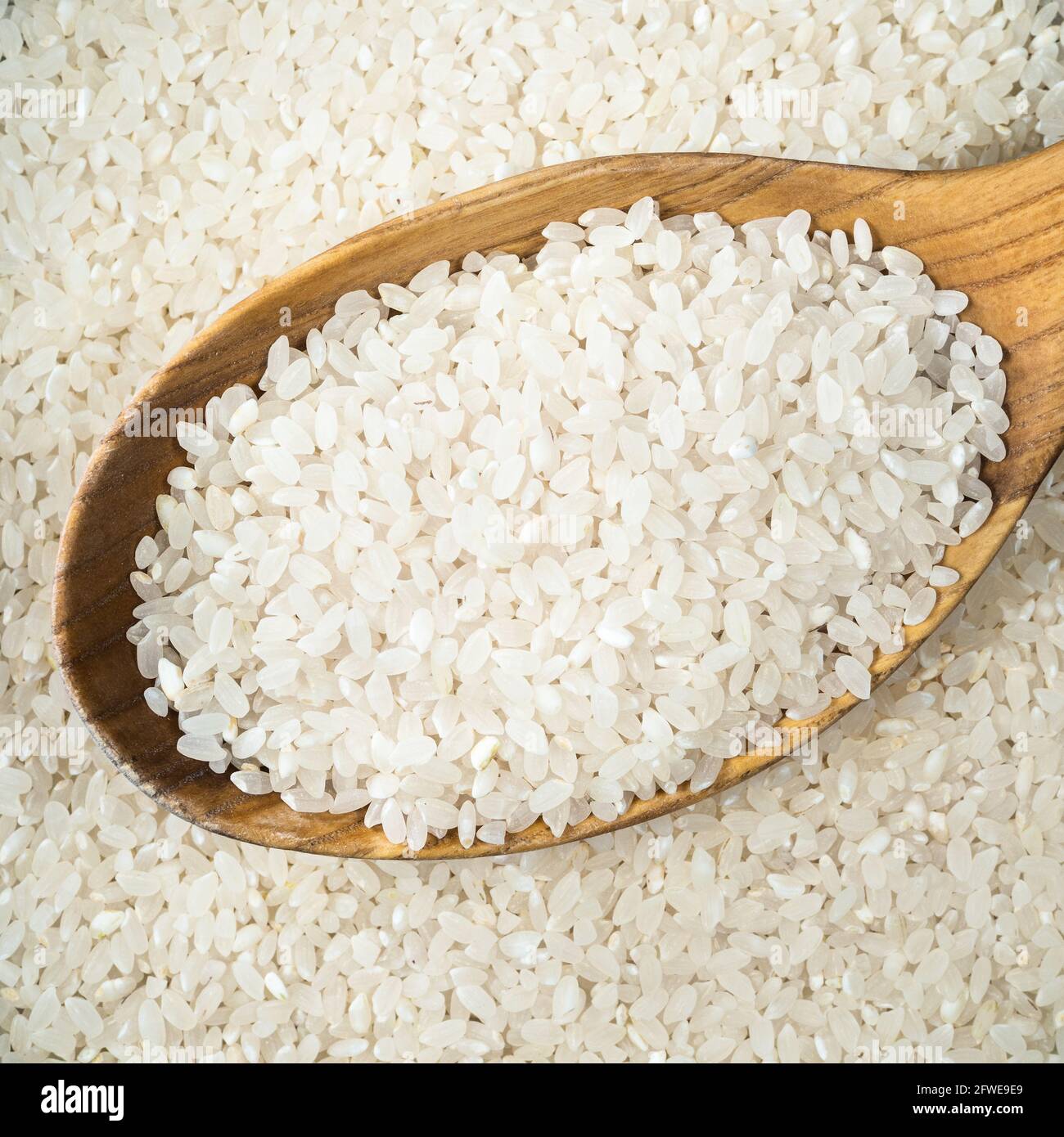 Types Of Medium Grain Rice