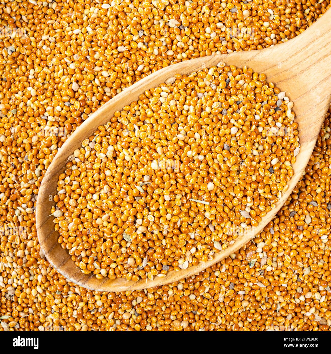 Millet seed panicum hi-res stock photography and images - Alamy