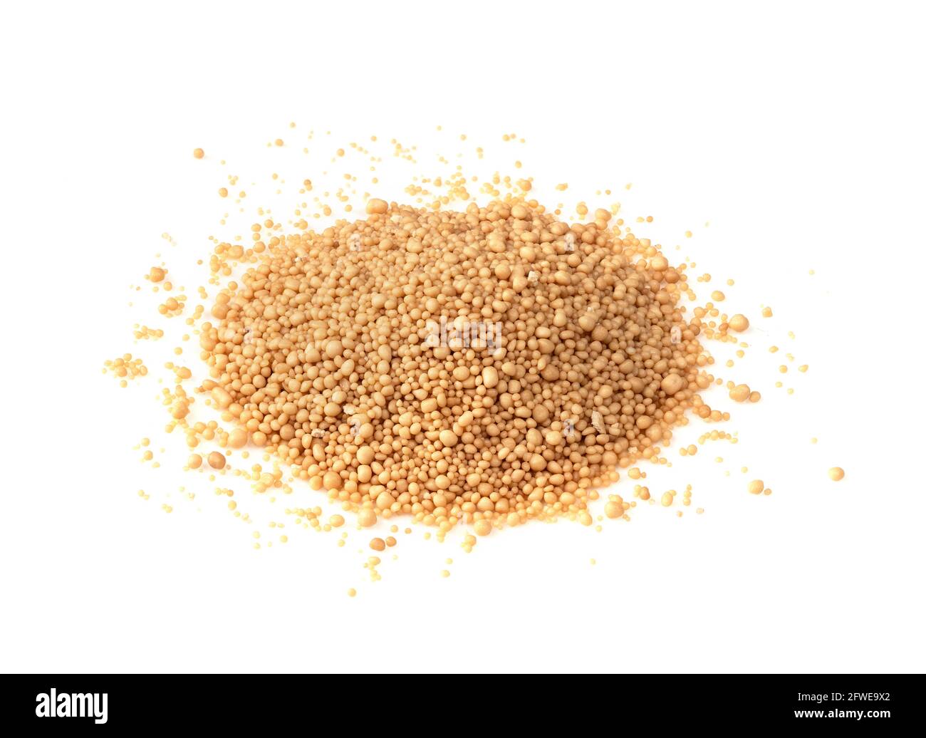 handful of granulated active dry yeast closeup on white background ...