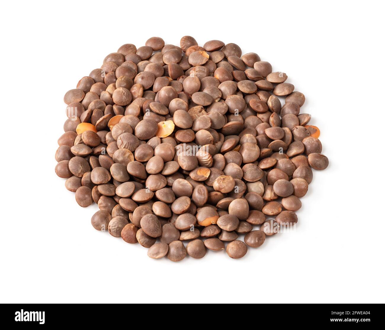 handful of brown unhulled red lentils closeup on white background Stock ...