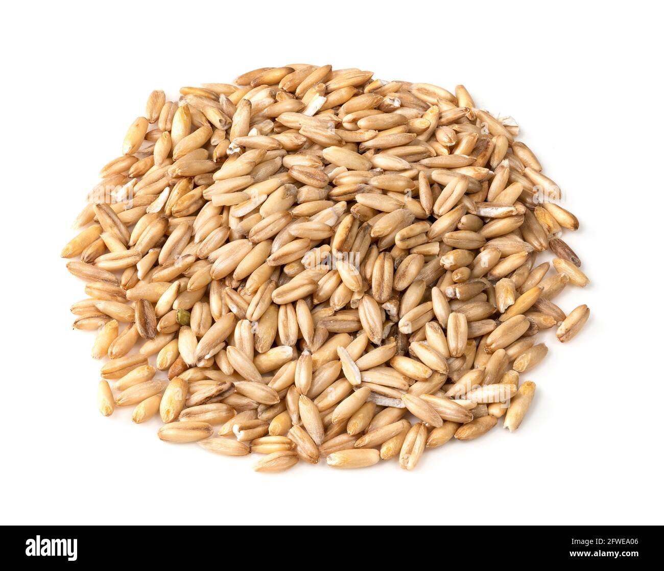 handful of wholegrain oat grains closeup on white background Stock ...